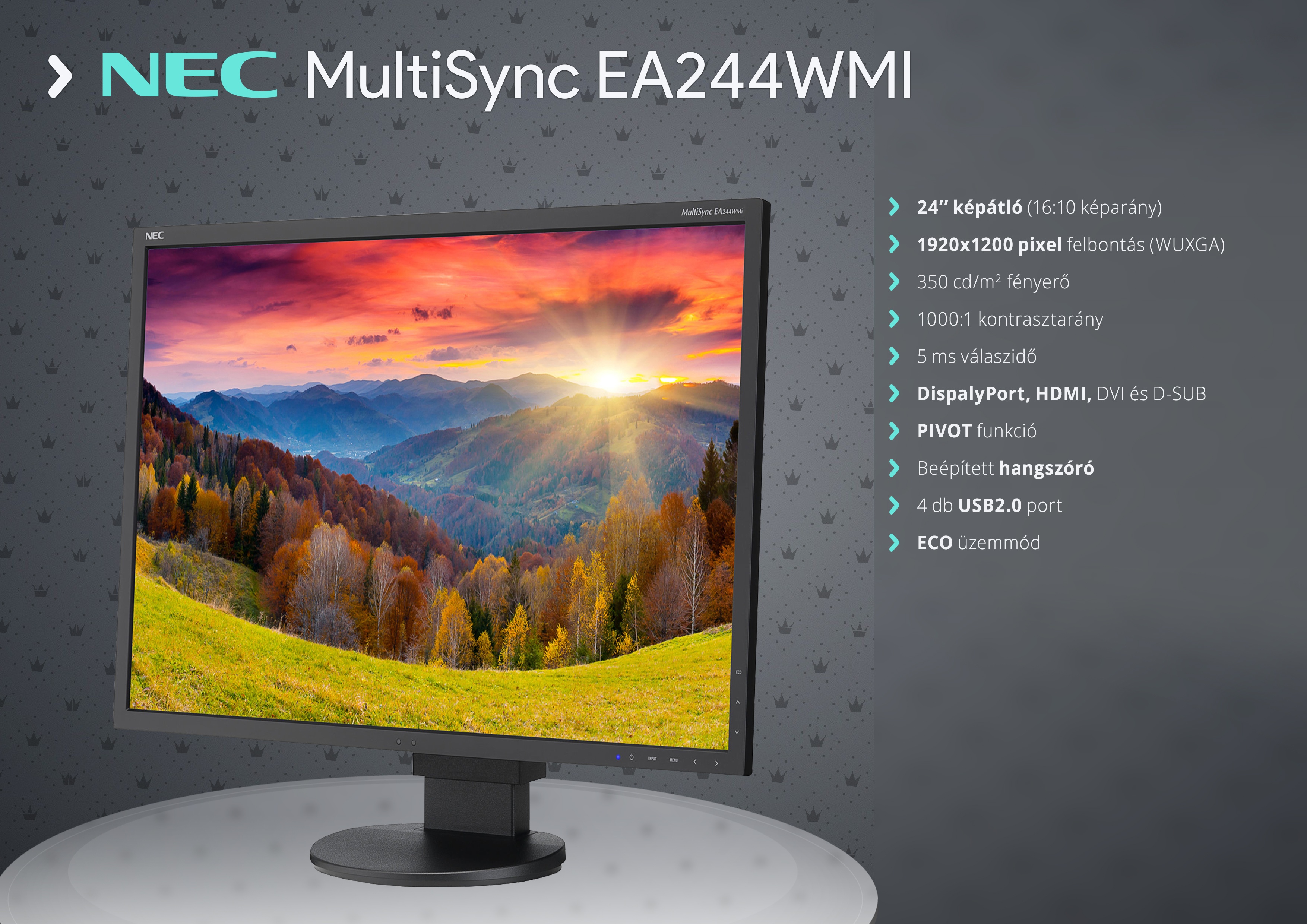 NEC MultiSync EA244WMi :: PC Aréna Kft.